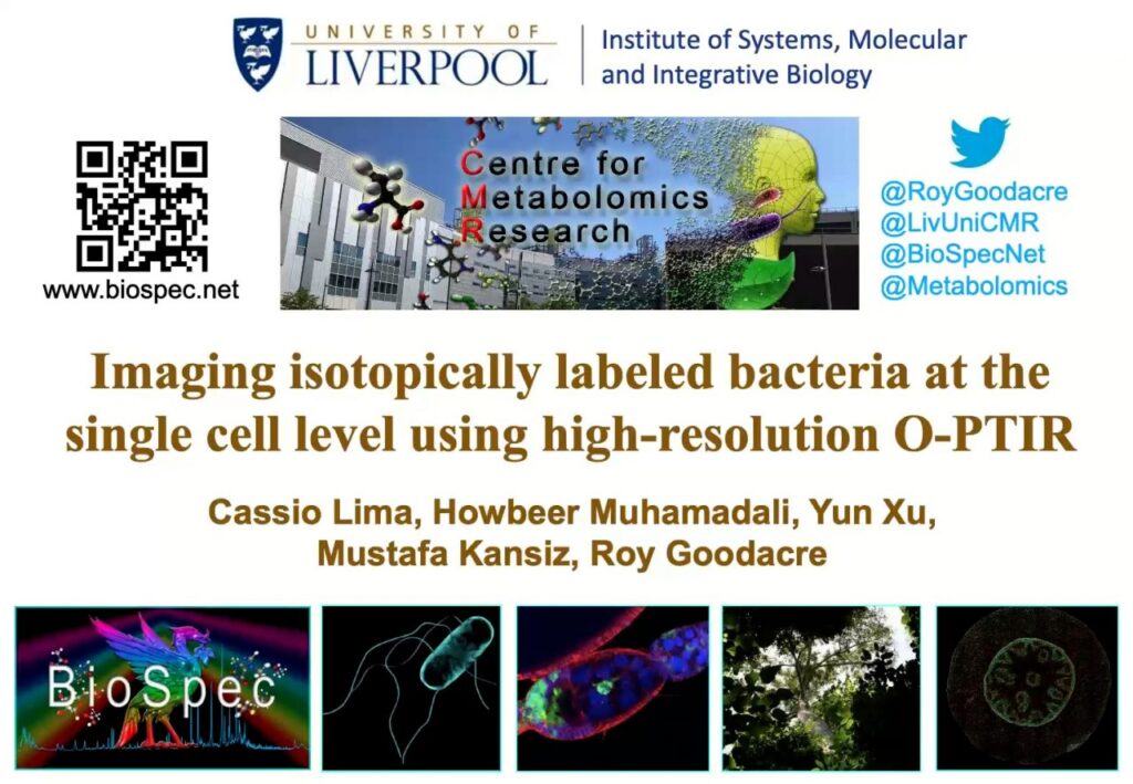 Single and Intra-Cell Bacterial IR Spectroscopy | Webinar