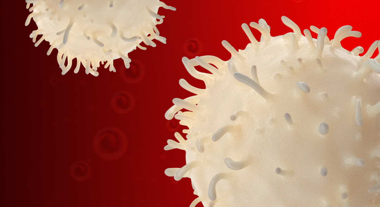 Fluorescence guided, submicron IR of white blood cells in blood smears